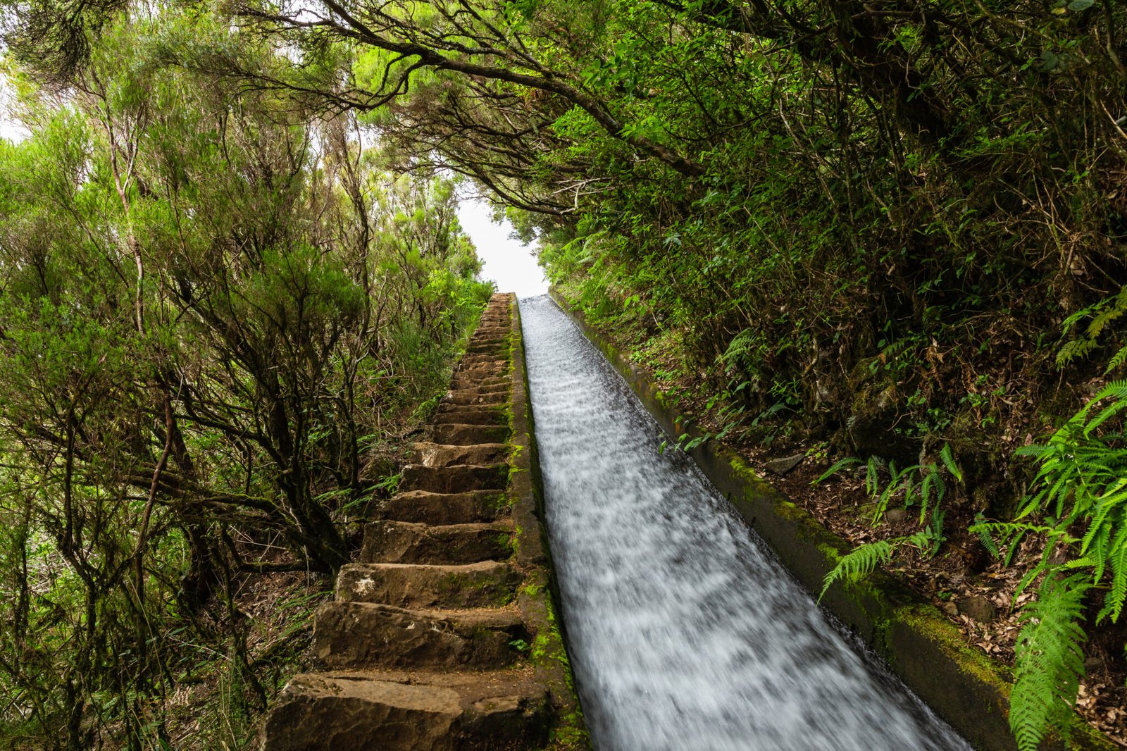 Madeira Through the Seasons: When to Visit for Your Ideal Trip ...