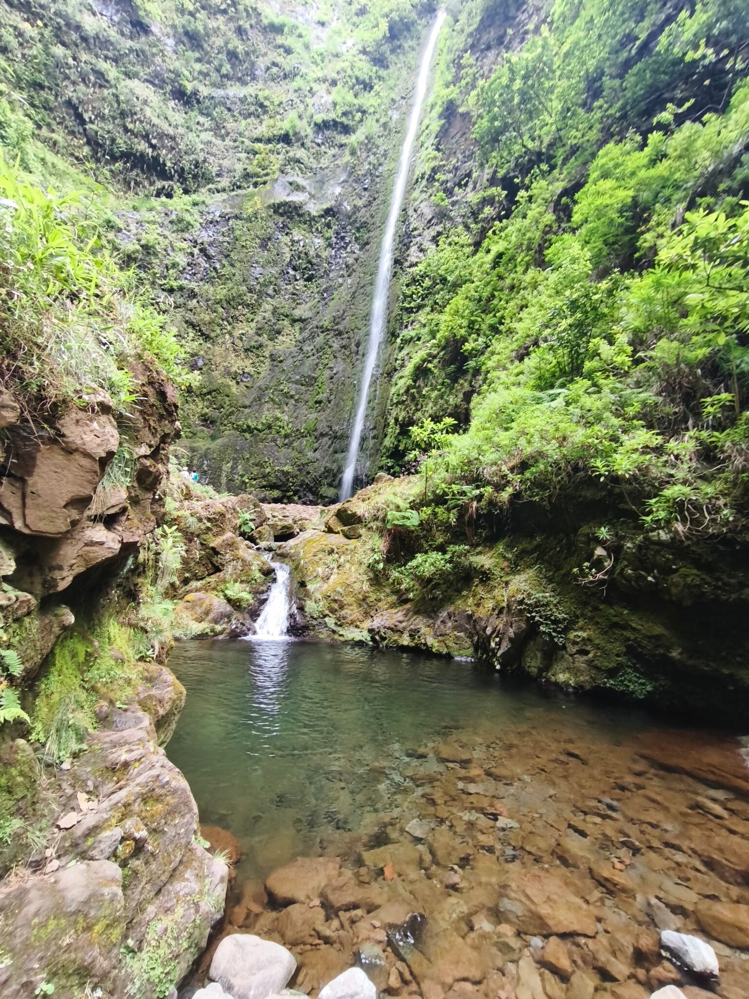 Melhores Excursões e Atividades na Madeira - Reserve Online