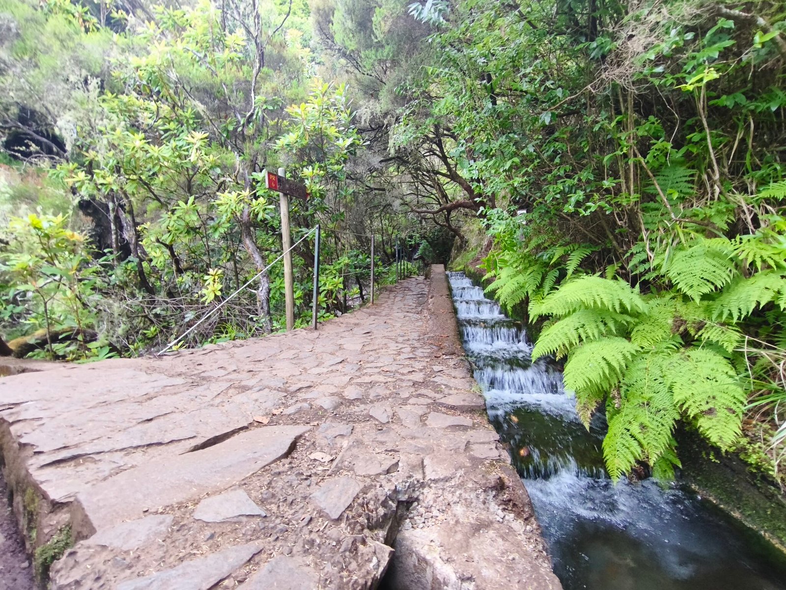Melhores Excursões e Atividades na Madeira - Reserve Online
