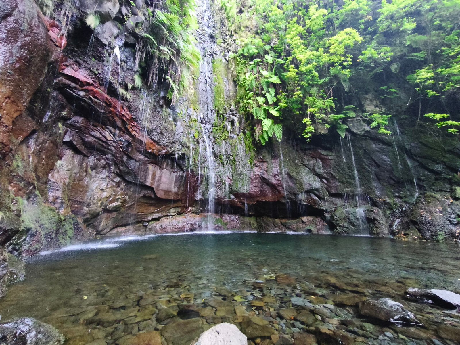 Najlepsze Wycieczki i Atrakcje na Maderze - Rezerwuj Online
