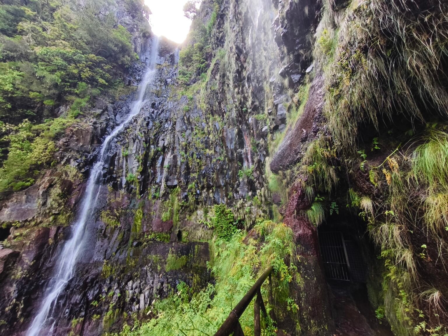 Melhores Excursões e Atividades na Madeira - Reserve Online