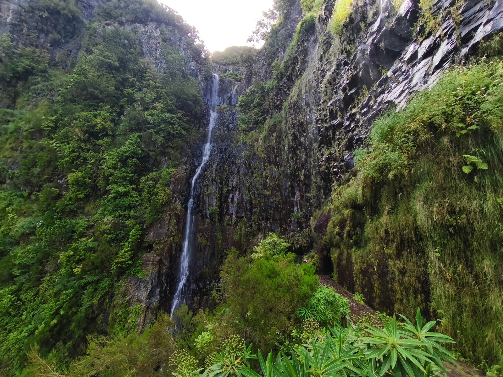 Najlepsze Wycieczki i Atrakcje na Maderze - Rezerwuj Online