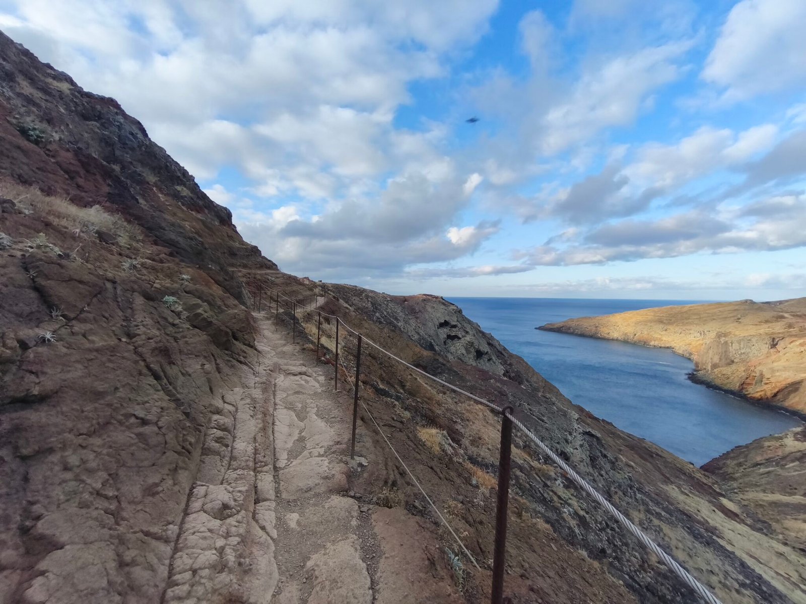 Beste Touren & Aktivitäten auf Madeira - Online Buchen