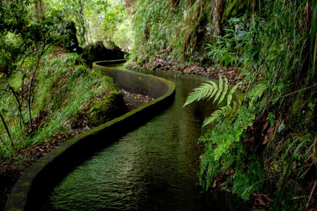 Best Hiking Trails & Levada Walks in Madeira (2026 Guide)